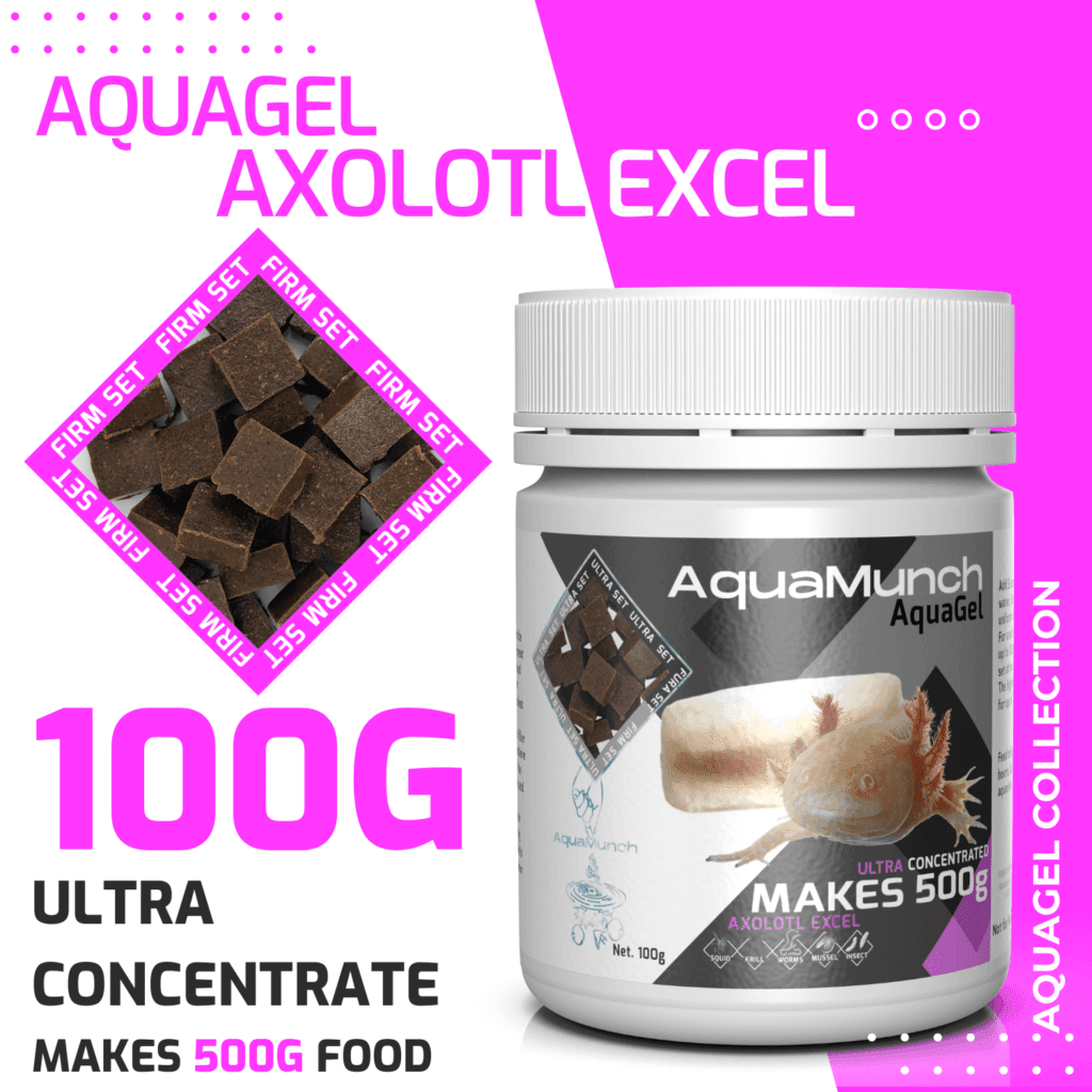AquaMunch AquaGel Axolotl Excel 100g "Makes 500g" - AquaMunch Aquarium ...