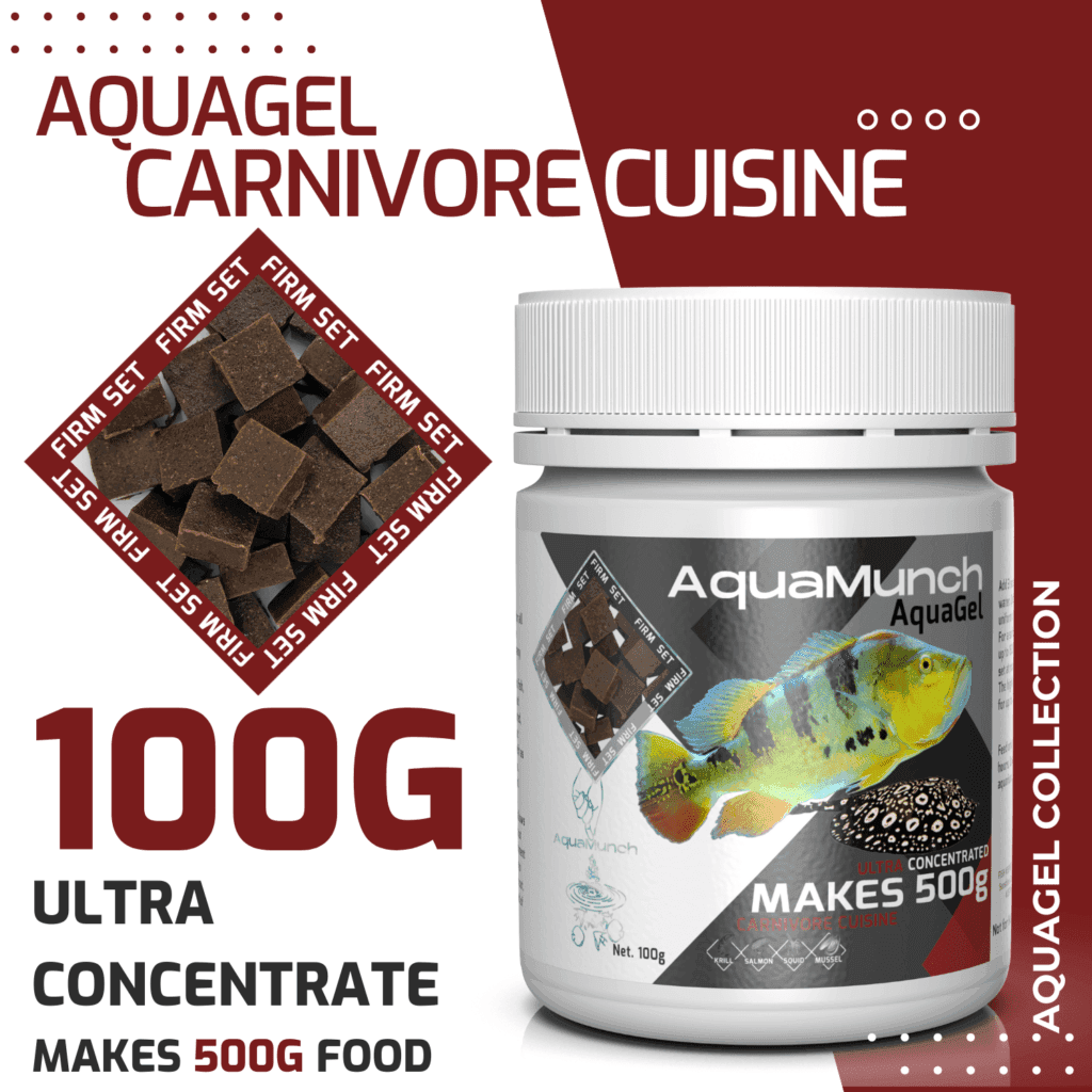 AquaMunch Aquarium Fish Food: Nutritious catered diets